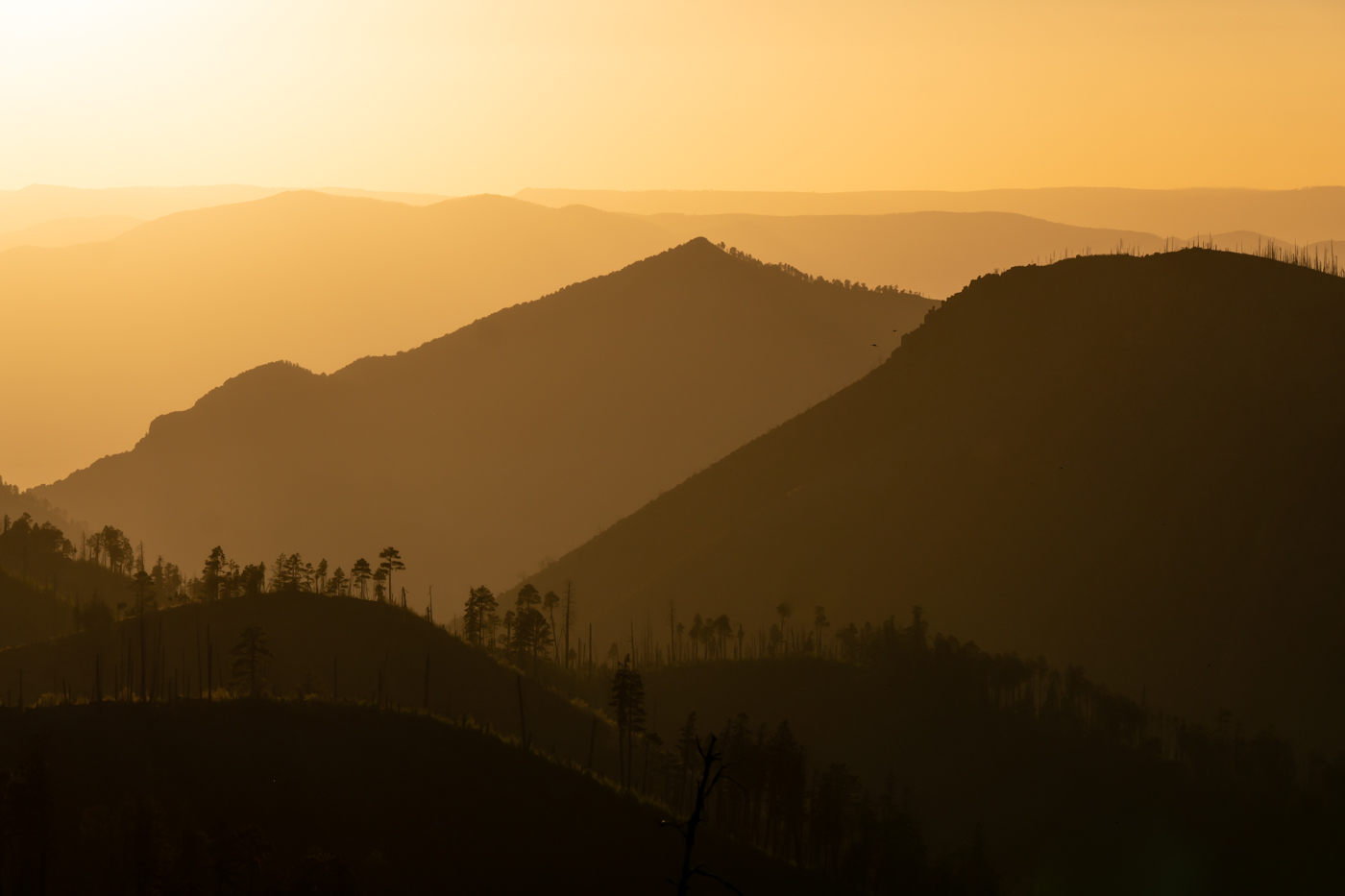 New Mexico's Western Highlands Loop - Backcountry MTB // Industry Nine ...